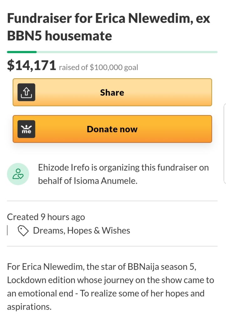 Nigerians blast fans for setting up GoFundMe for Erica