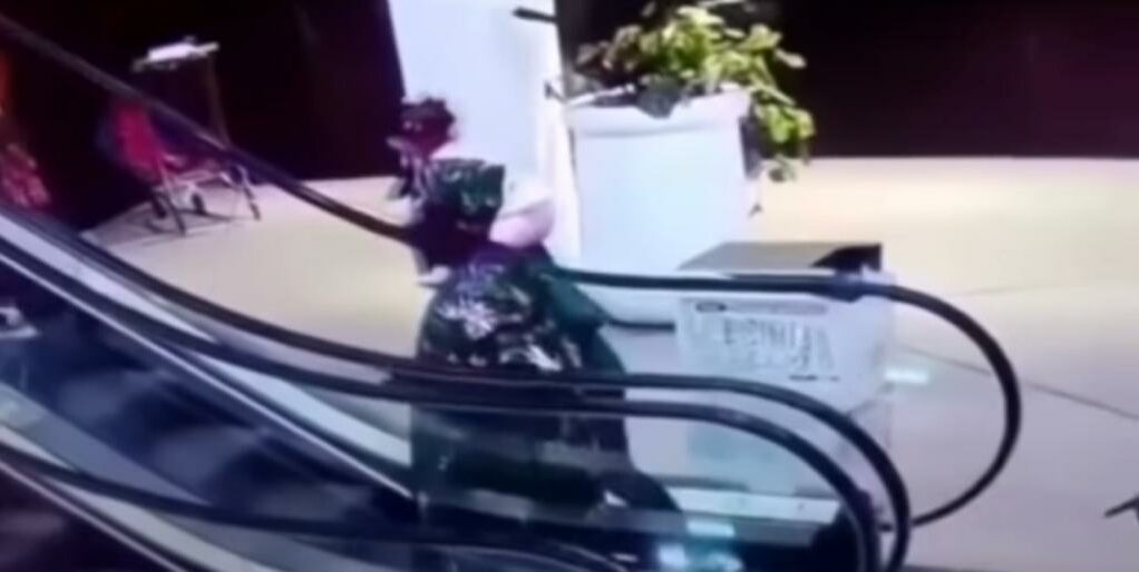 Moment security guard saved baby from falling off mall’s escalator (Video)