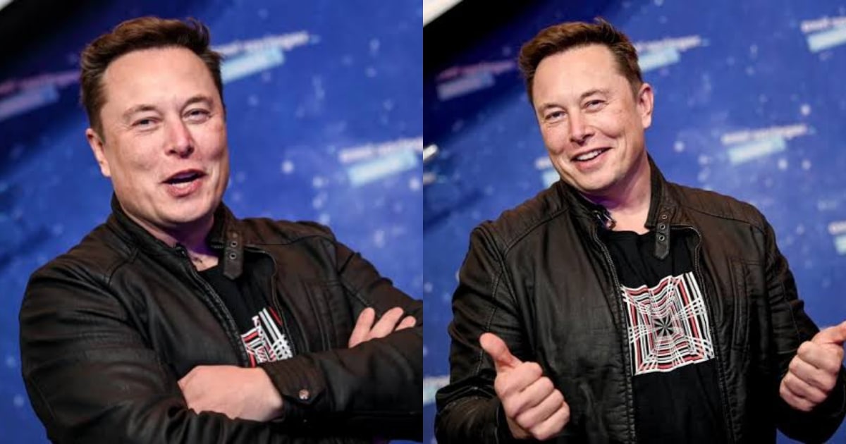 You will probably see follower count drop - Elon Musk announces Twitter ...