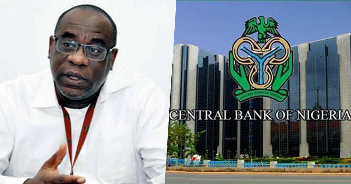 Meet acting CBN Governor Folashodun Shonubi