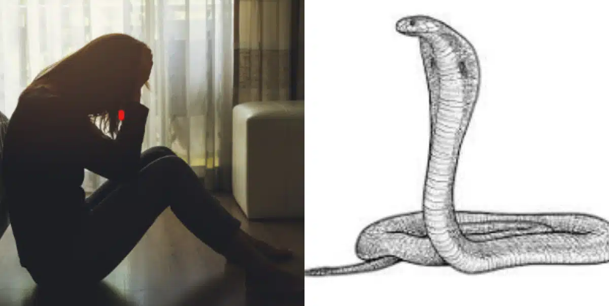 Woman sleeps with snake to boost husband's business