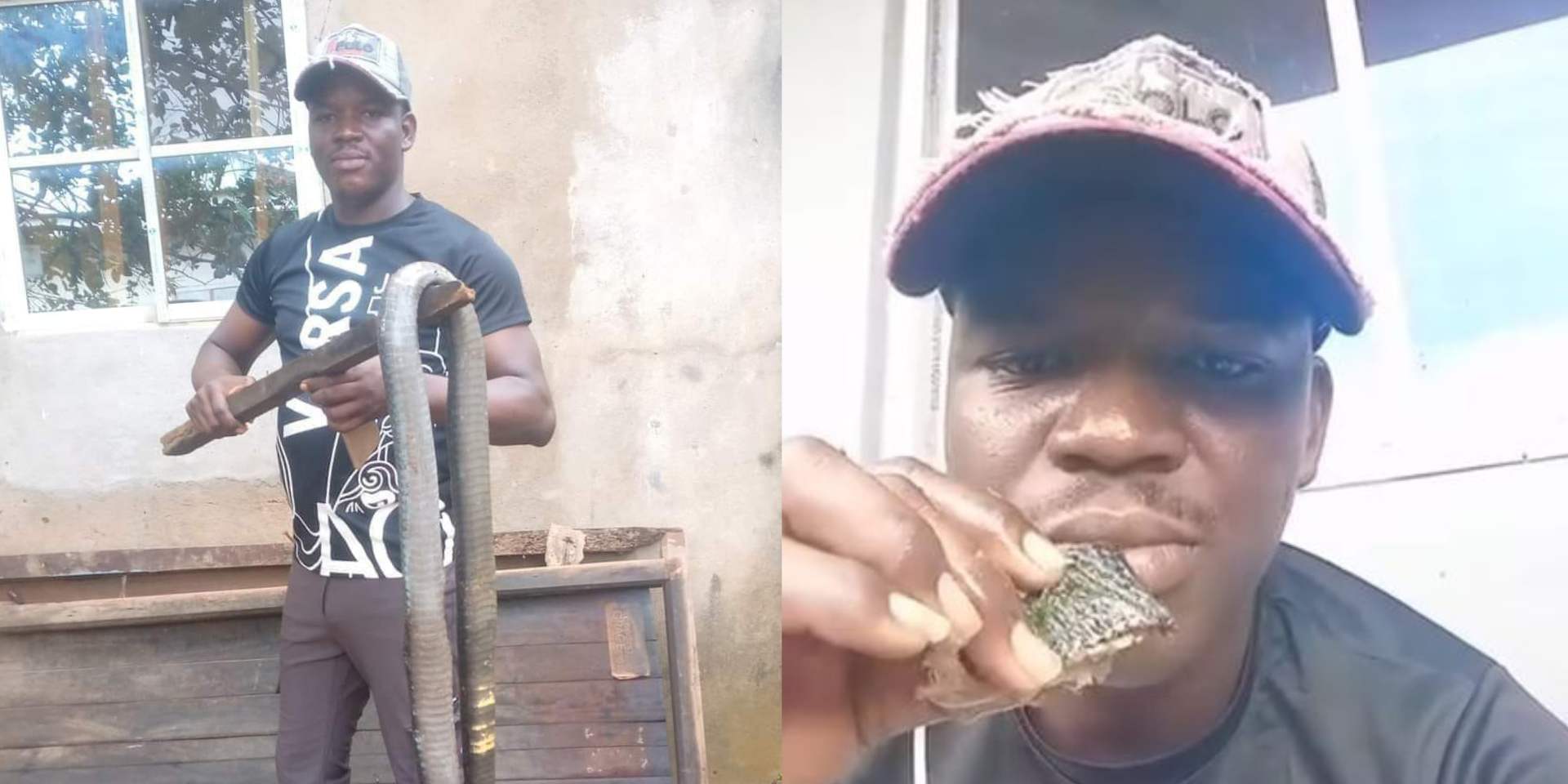 "It was so yummy that I slept for almost 5 hours" – Man kills snake ...