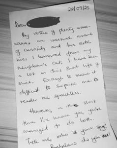 Lady shares handwritten letter from admirer, hints at saying yes