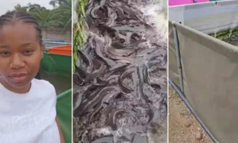 Nigerian lady raises fish for over 4 months, shows bountiful harvest ...