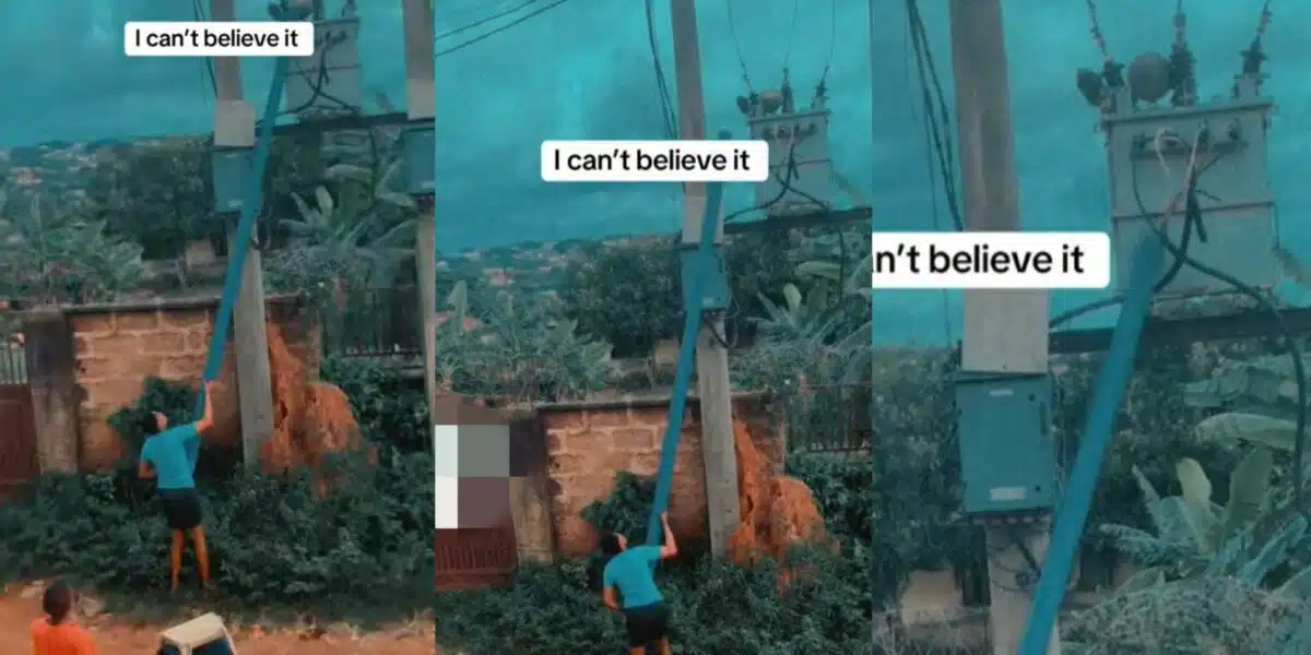 Lady risks it all to retrieve ball from transformer