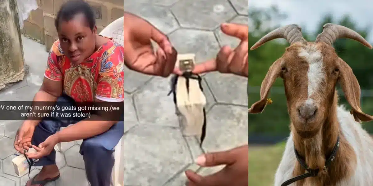Nigerian mother makes daughter swear on Bible over missing goat