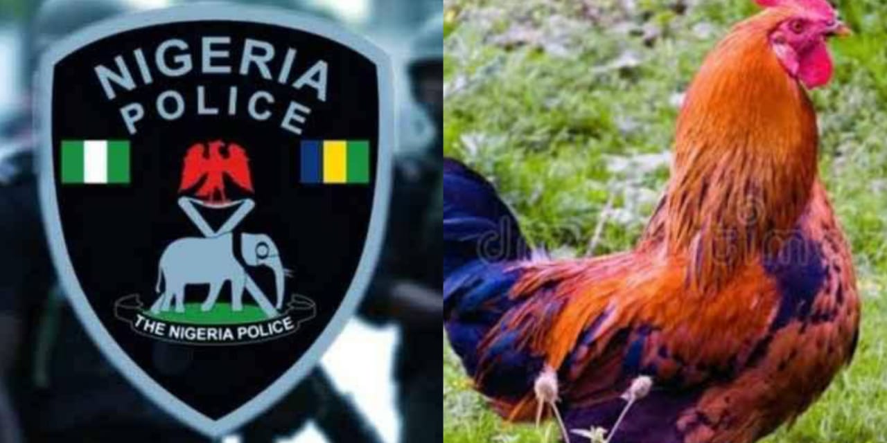 Man arrested for stealing TV after chicken theft pardon