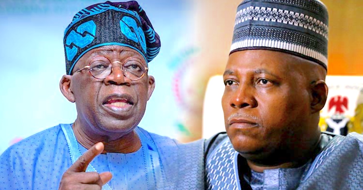 Tinubu understands business, reforms are in Nigeria’s best interest — Shettima