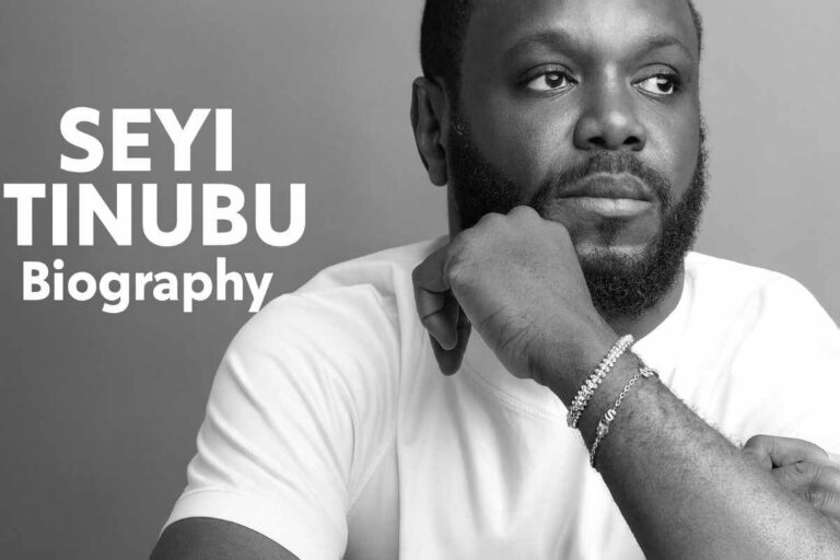 Seyi Tinubu Biography: Early Life, Career, Awards, Wife & Net Worth