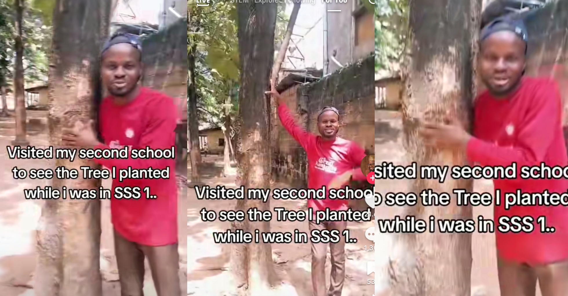 "Over 15 years" - Man visits secondary school to check out tree he ...