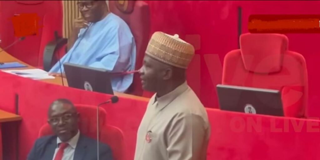 Senate confirms General Christopher Musa as new Defence minister after ...